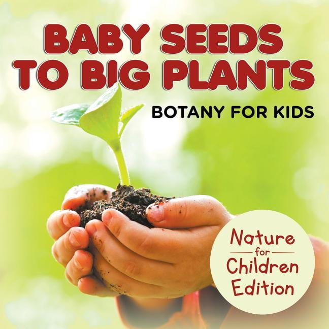 Baby Seeds To Big Plants: Botany for Kids Nature for Children Edition ...