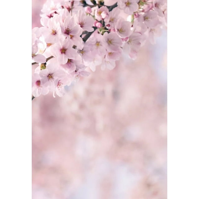 Baby Shower Photozone Faded Flowers Blossom Newborn Kids Portrait Photo ...