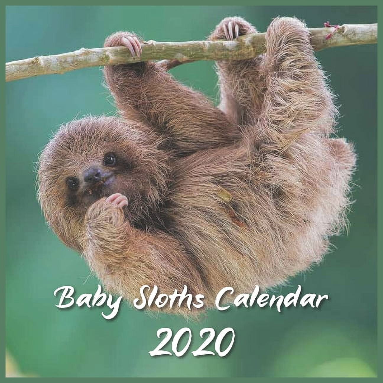 Baby Sloths calendar 2020: 12 Month Calendar (Paperback) - Walmart.com