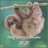 Baby Sloths calendar 2020: 12 Month Calendar (Paperback) - Walmart.com