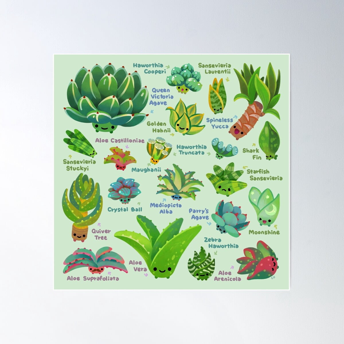 Baby Succulent 1 Poster Wall Art, Modern Wall Decor For Living Room ...