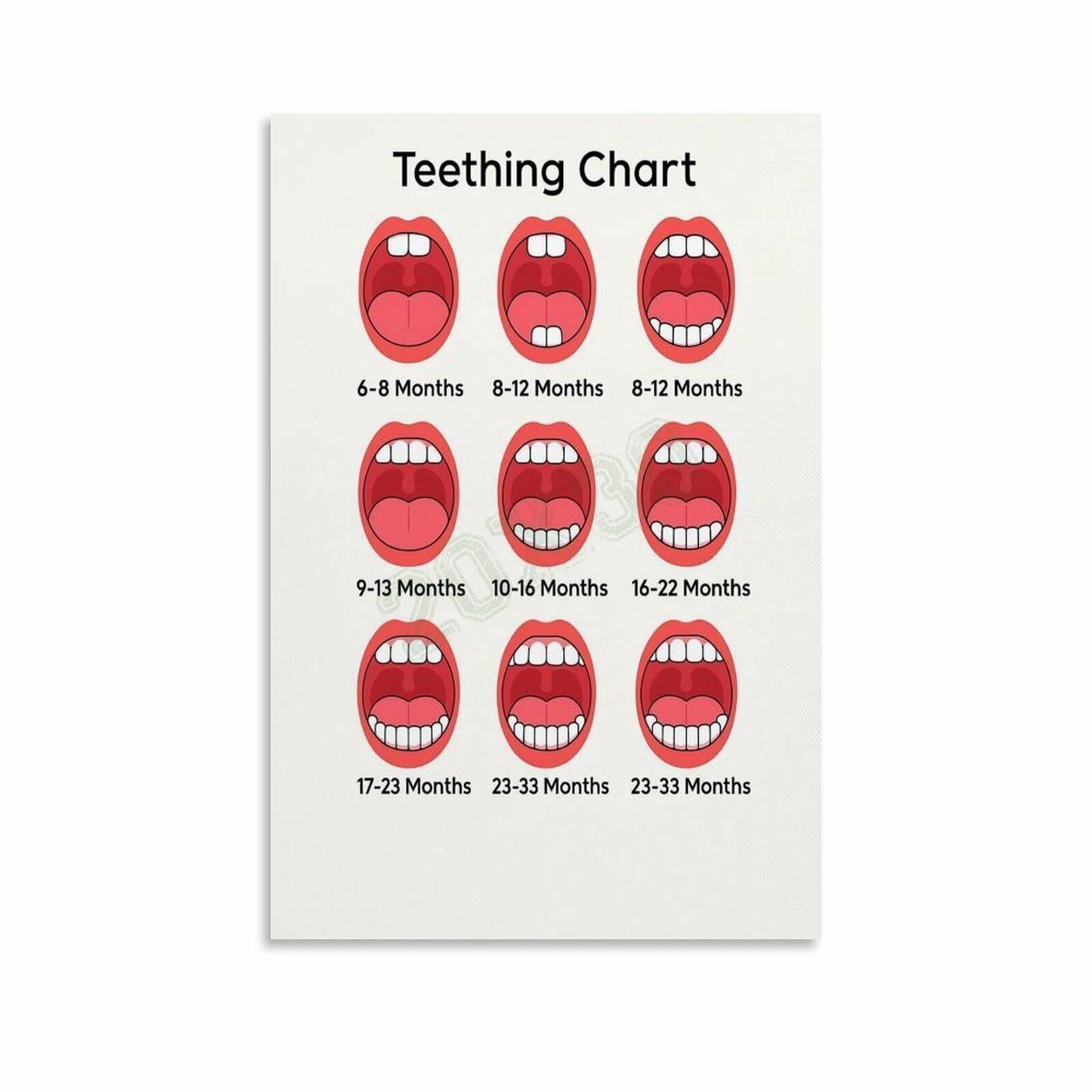 Baby Teething Chart Monthly Tooth Eruption Timeline Poster Canvas ...