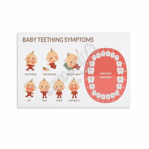 Baby Teething Symptoms Poster Infant Tooth Developmen Milestones Wall ...