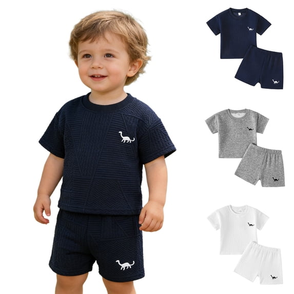 Baby Toddlers Summer Outfits for Kids Short Sleeve Dinosaur Embroidered ...