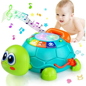 Shop Turtle Toys for Babies and Toddlers with Fun and Sensory Play