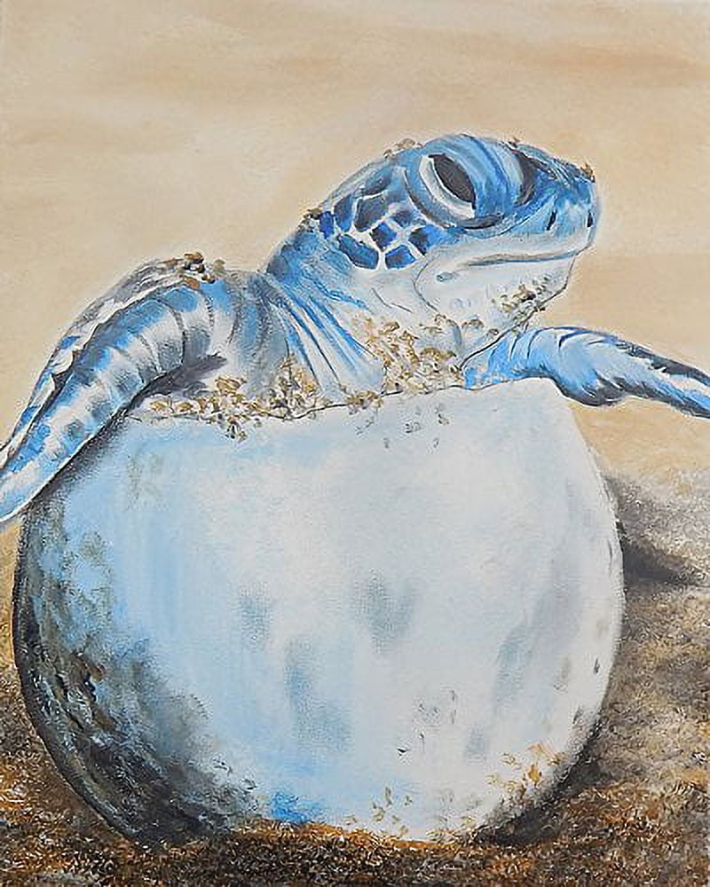 Baby Sea Turtle Paintings