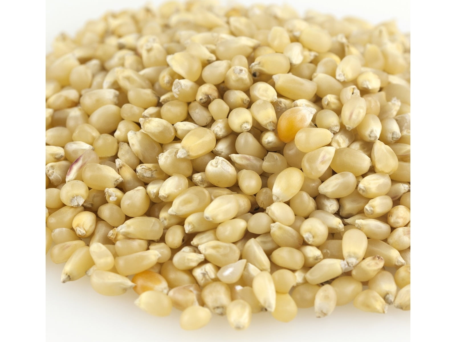 Baby White Popcorn Kernels 4 lb - Walmart.com