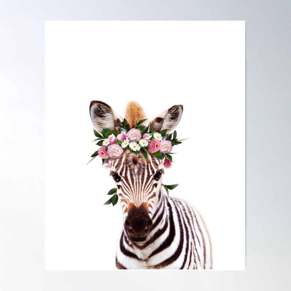Baby Zebra With Flower Crown Baby Animals Art Print By Synplus Poster ...