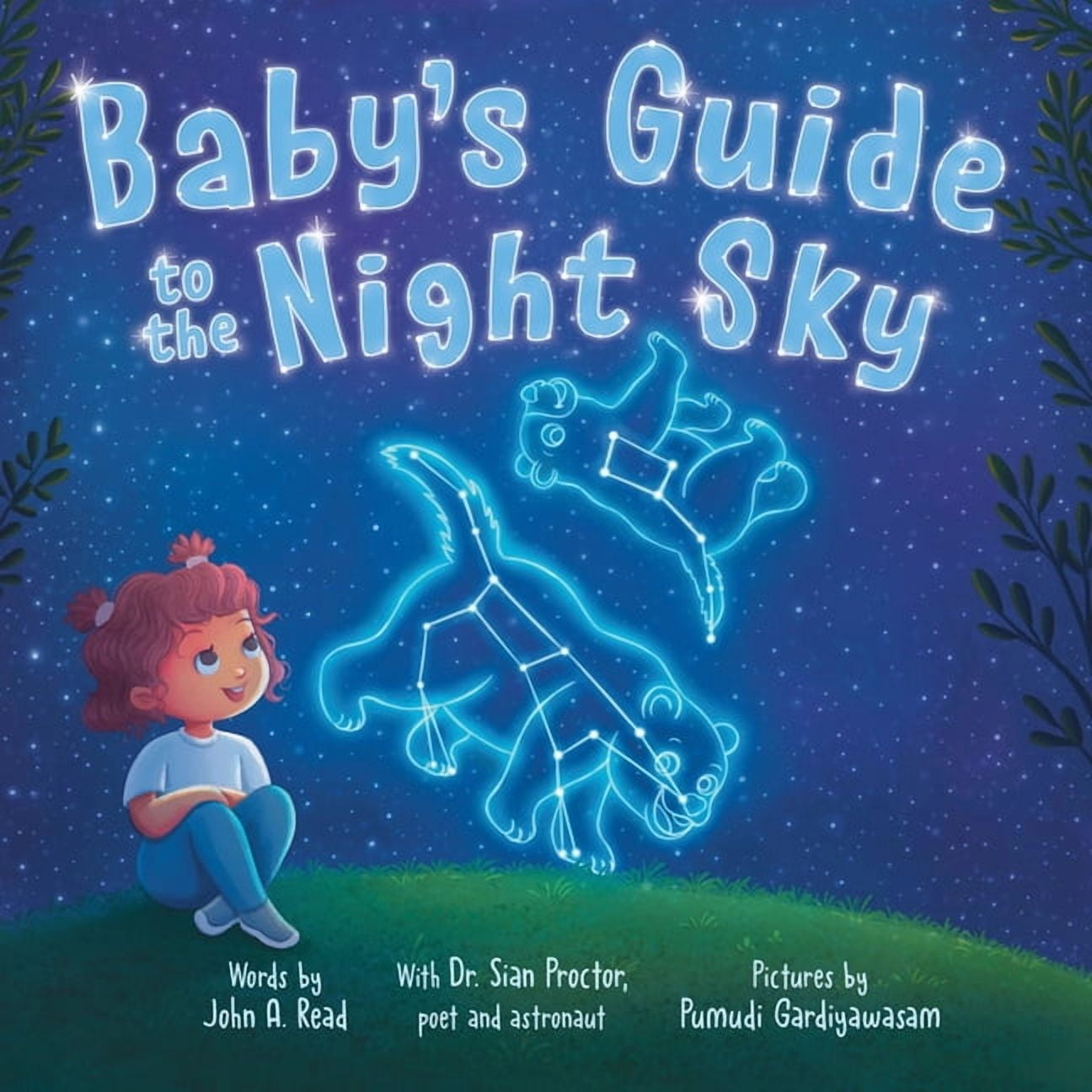 Baby's Guide to the Night Sky, (Board Book) - Walmart.com