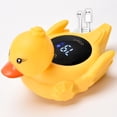 Baby bathtub thermometer - digital floating water temperature gauge ...