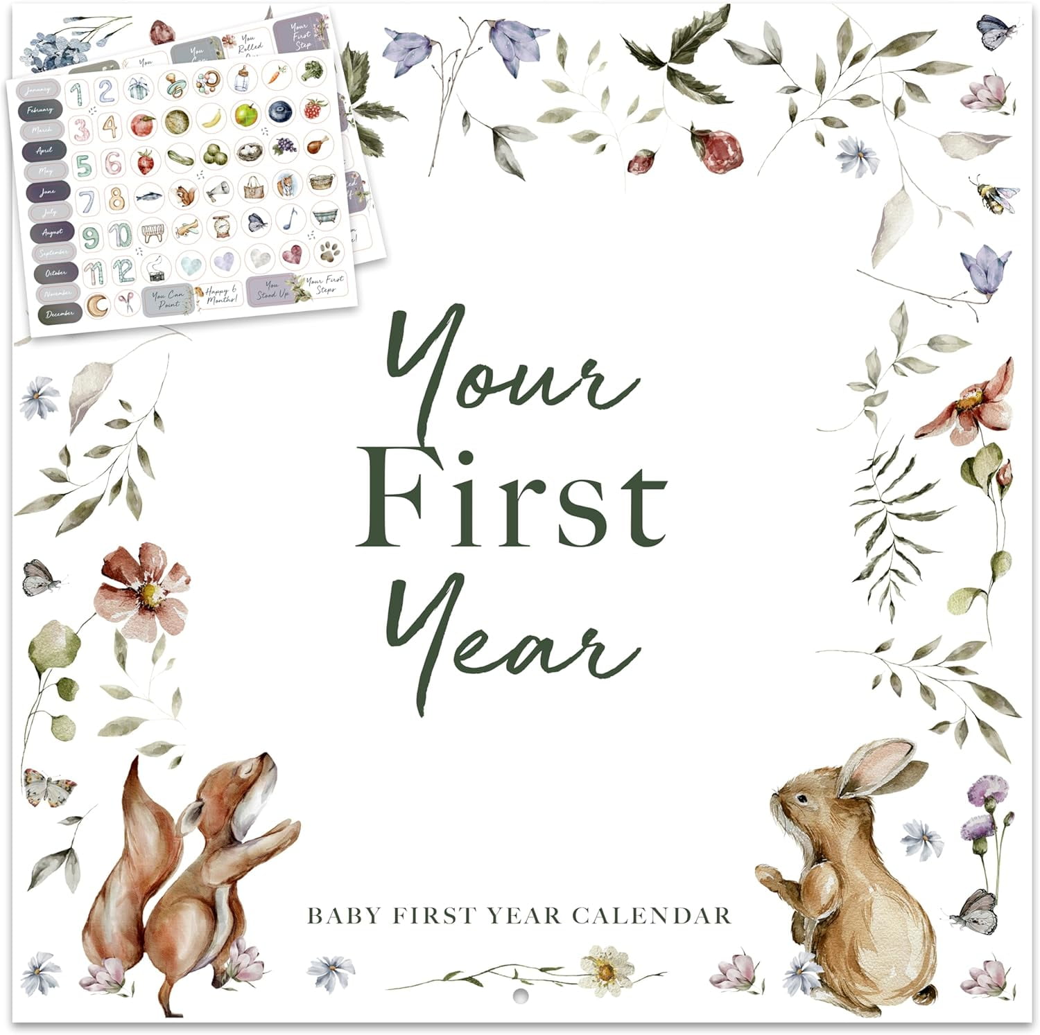 Baby's First Year Memory & 1st Year Calendar with 100 Stickers | Baby's ...
