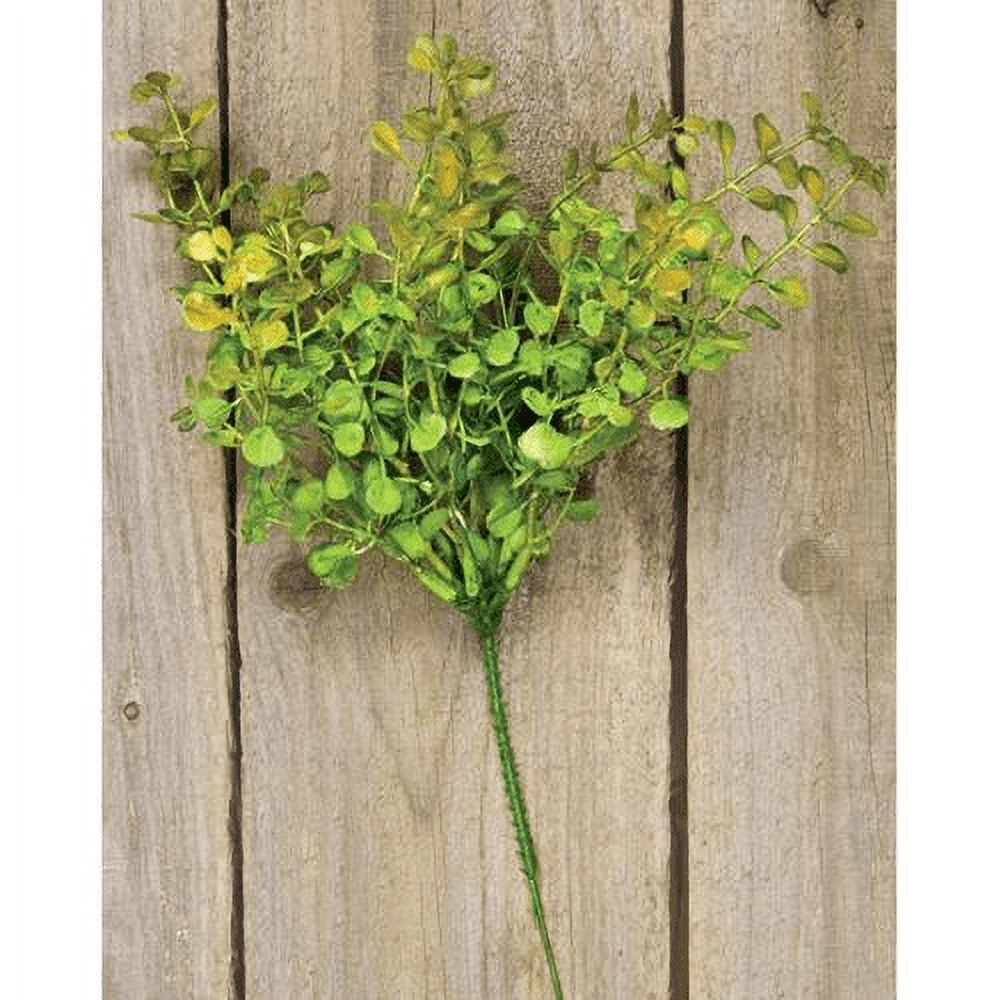 Baby's Grass Pick 9" Light Green - Walmart.com