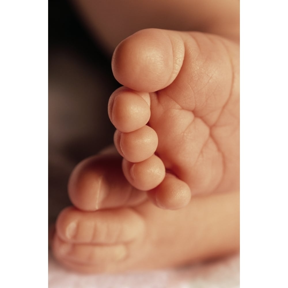 Babys Feet Poster Print - Walmart.com