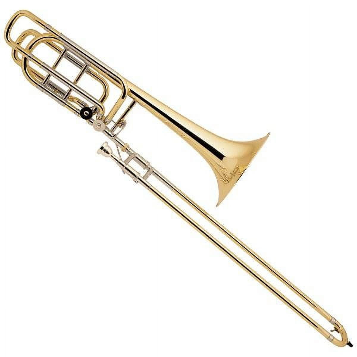 Bach 50B3 Stradivarius Series Professional Standard Wrap Double Rotor ...