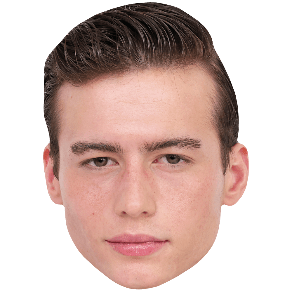 Bach Buquen (Brown Hair) Celebrity Mask, Flat Card Face, Fancy Dress ...