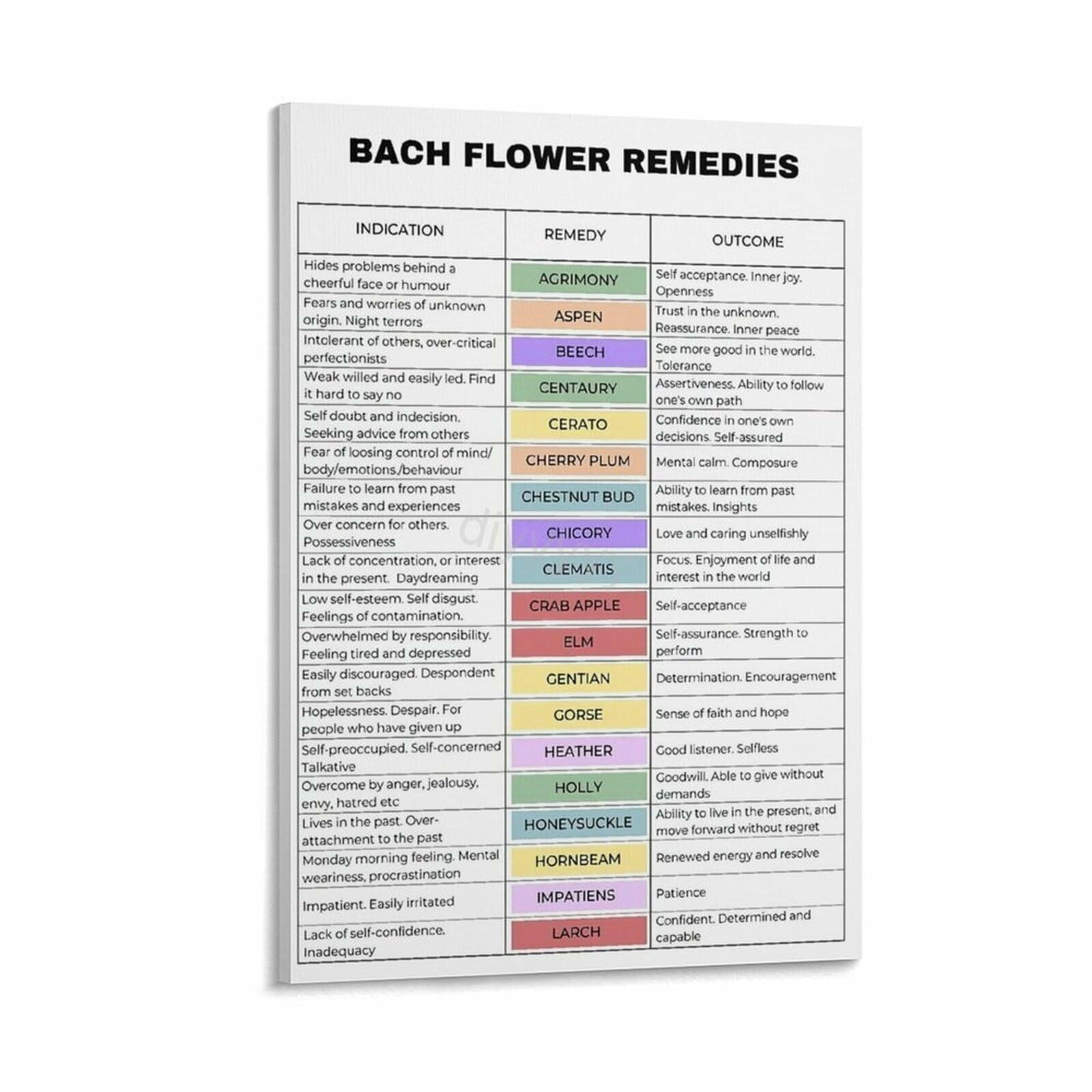 Bach Flower Remedies Chart Poster Flower Essences Guide Wall Chart (2 ...