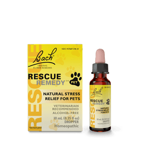 Dog Anxiety Medication