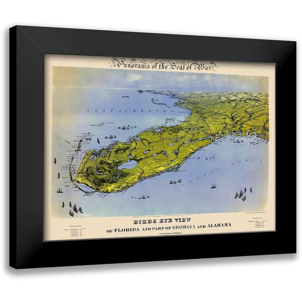 Bachmann 18x14 Black Modern Framed Museum Art Print Titled - Florida ...