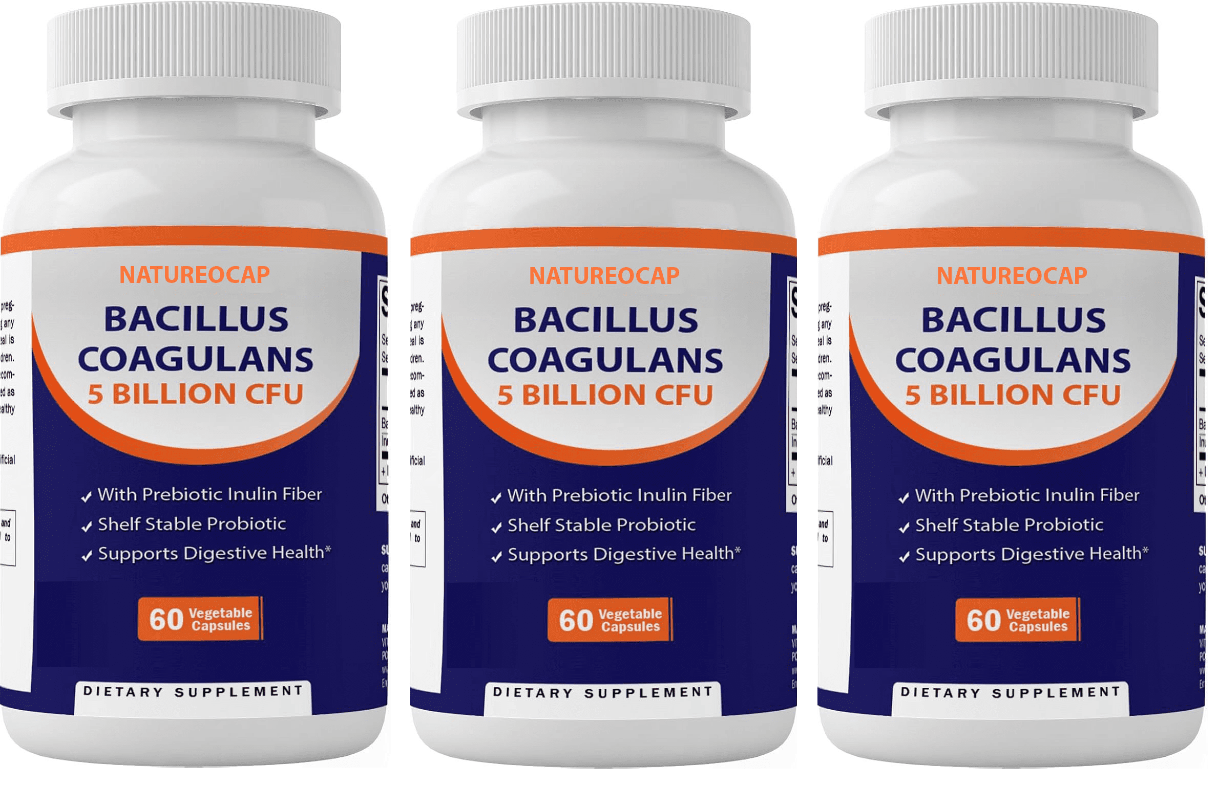 Bacillus Coagulans Shelf Stable Probiotic Supplement - Promote GI ...