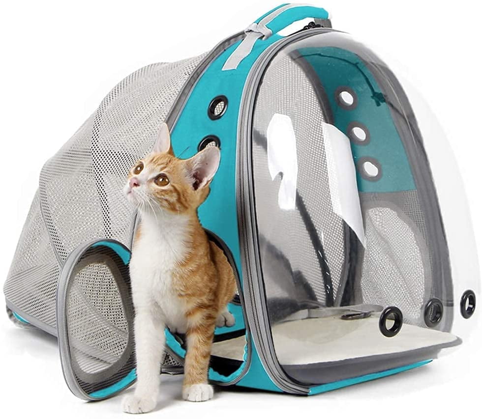 Back Expandable Cat Backpack Carrier, Fit up to 12 lbs, Space Capsule ...