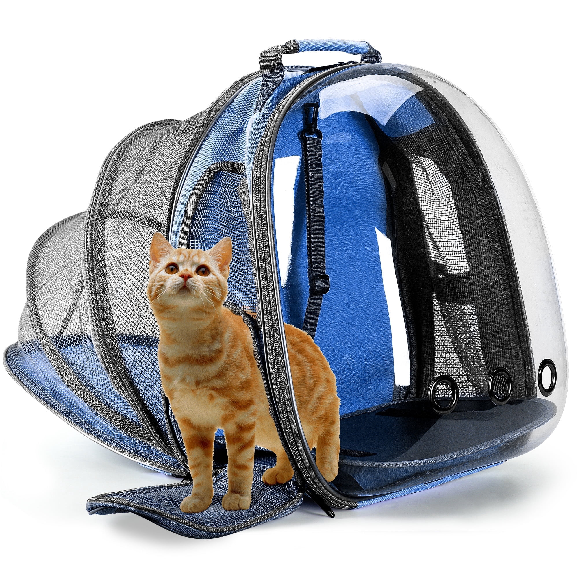 Back Expandable Cat Backpack with Transparent Front Doom for Small Pets ...