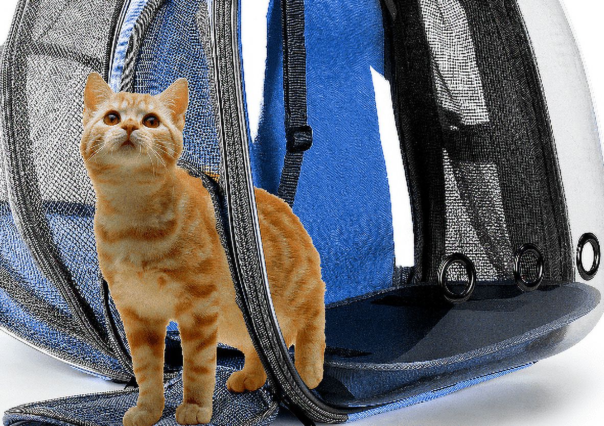 Back Expandable Cat Backpack with Transparent Front Doom for Small Pets ...