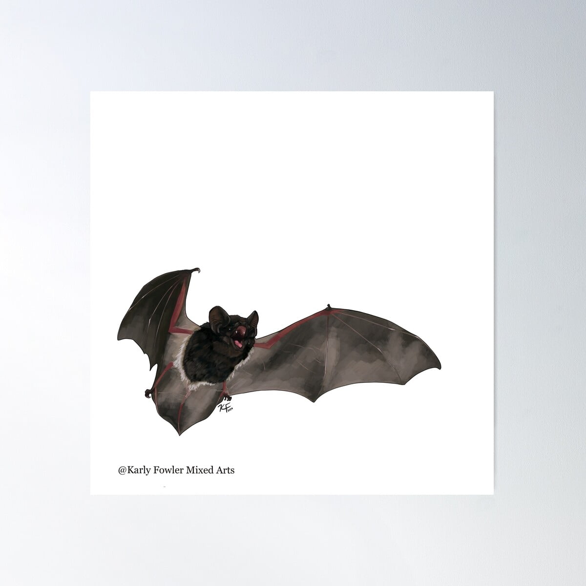 Back Our Bats: Large-Eared Pied Bat - No Text Poster Wall Art, Modern ...
