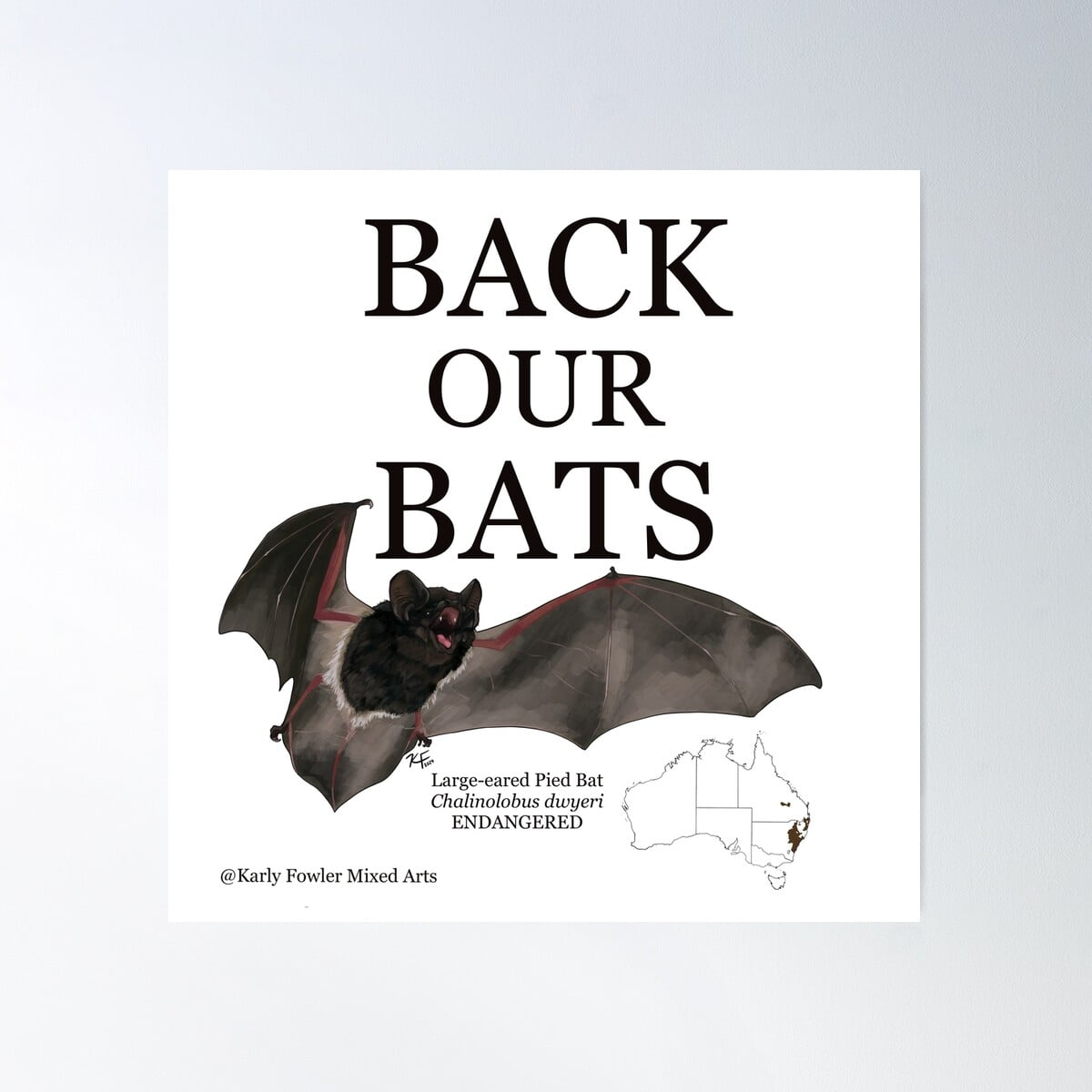 Back Our Bats: Large-Eared Pied Bat Poster Wall Art, Modern Wall Decor ...