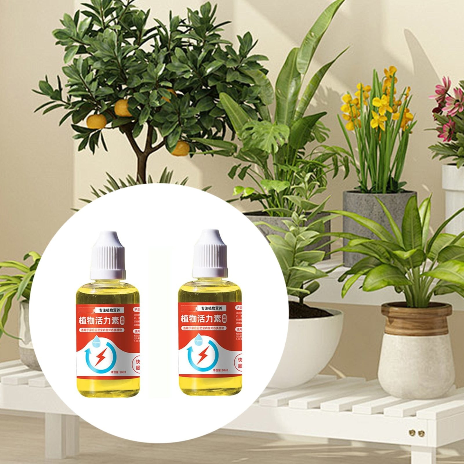 Back to School Sale Rooting Tool,Plant Growth Enhancer Supplement Take ...