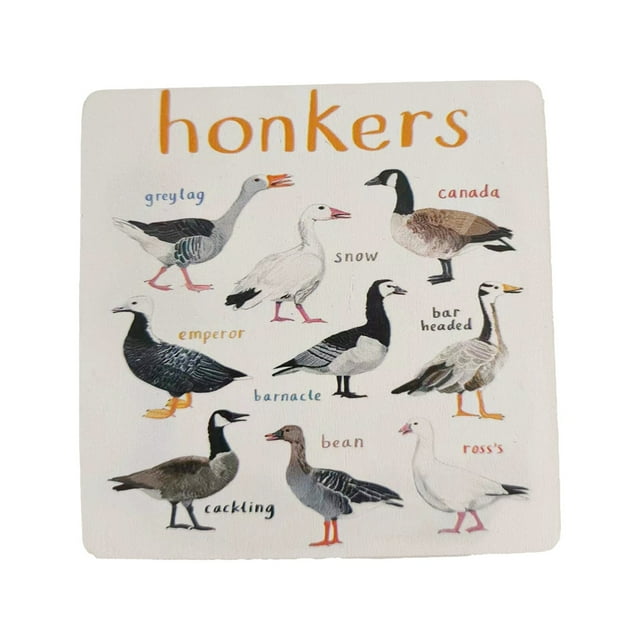 Back To School Season Special: Animal Knowledge A Fascinating Blend Of ...