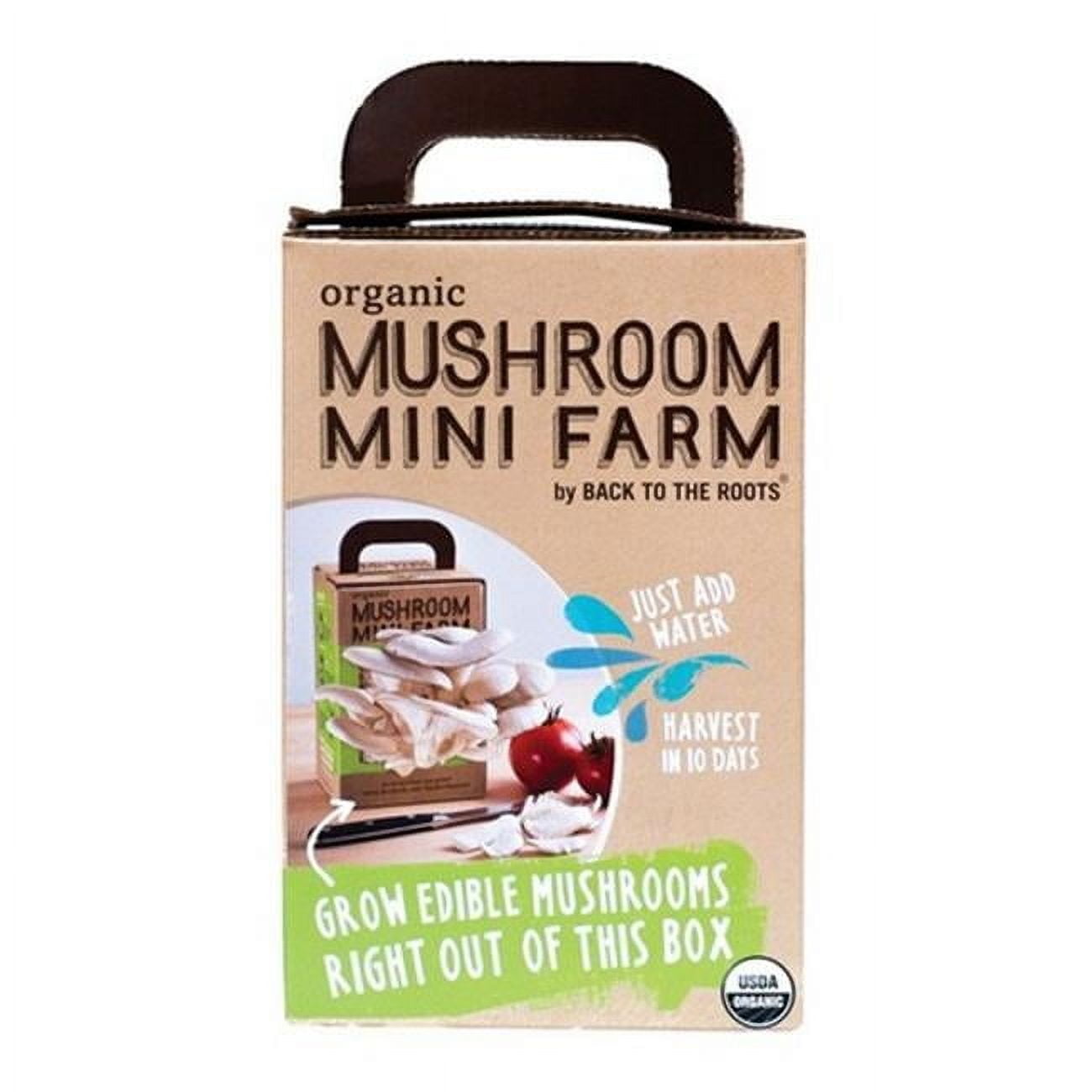 Back To The Roots 21200 0.52 oz Back To The Roots Garden In A Can Grow ...