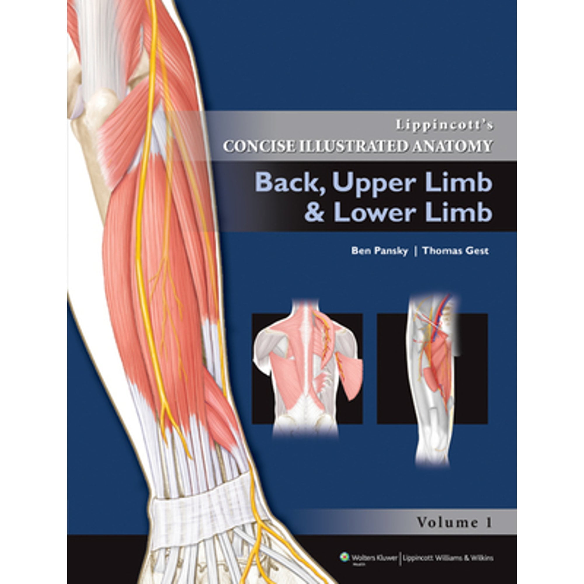 Back, Upper Limb and Lower Limb: Back, Upper Limb and Lower Limb Volume ...