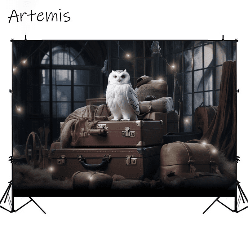 Back to School Photography Graduation Backdrop Magic Wizard Movie Style ...