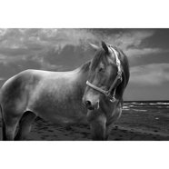 Mimography Marionette Painting Print on Wrapped Canvas - Walmart.com