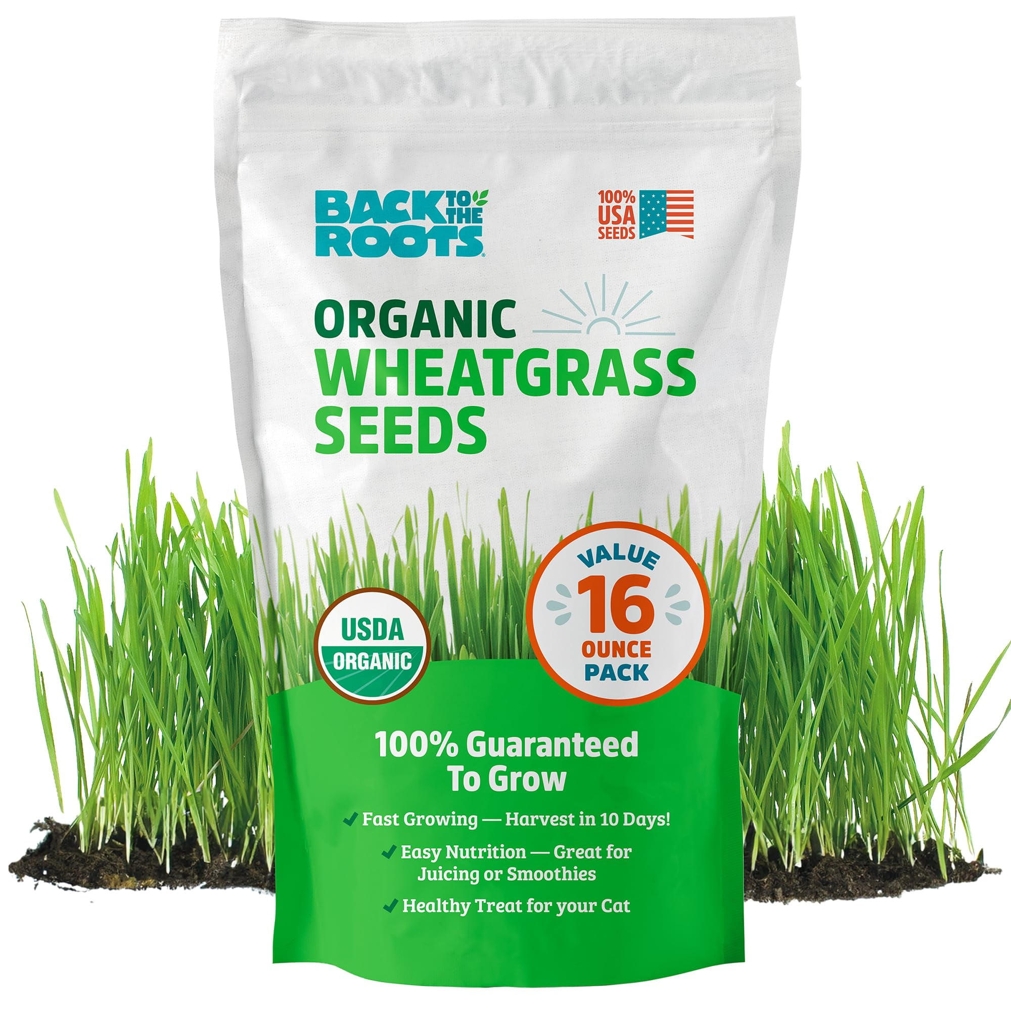 Back to the Roots 100% Organic NSD3 Wheatgrass Seeds | 1 Pound Non-GMO | Nutrient Dense, Easy to ...