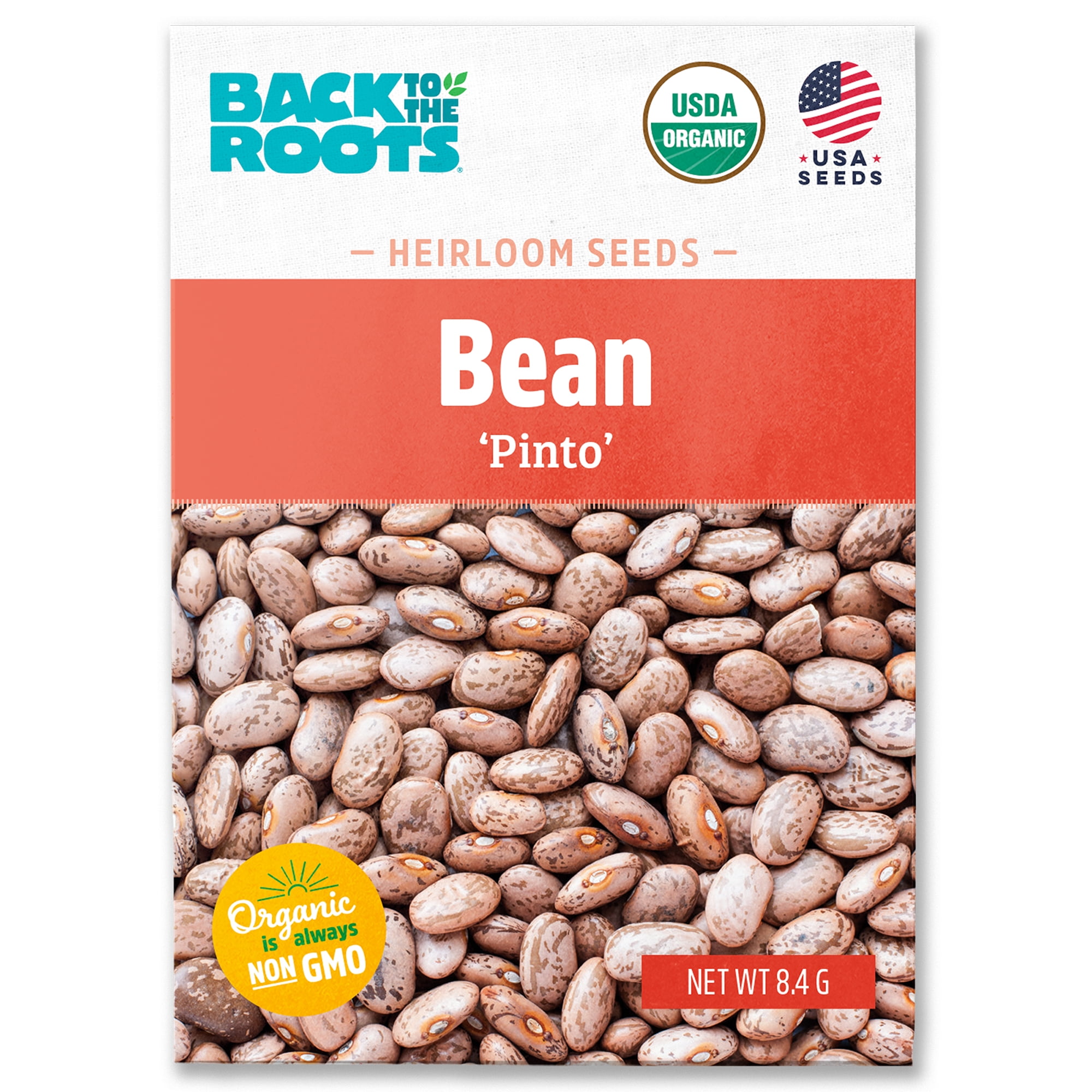 Back to the Roots Organic Pinto Bean Seeds, 1 Packet - Walmart.com