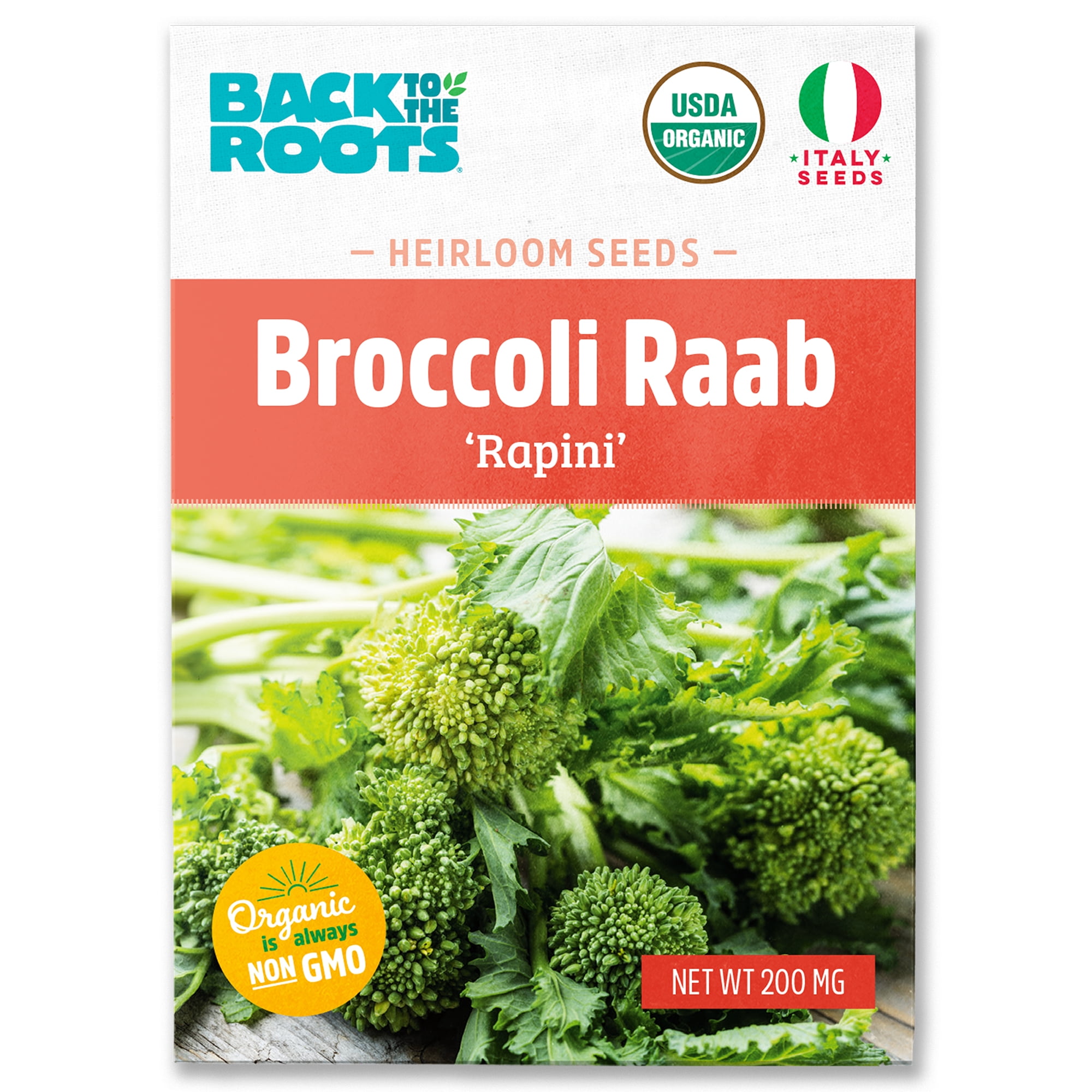 Back to the Roots Organic Broccoli Raab 'Spring Rapini', 1 Seed packet ...