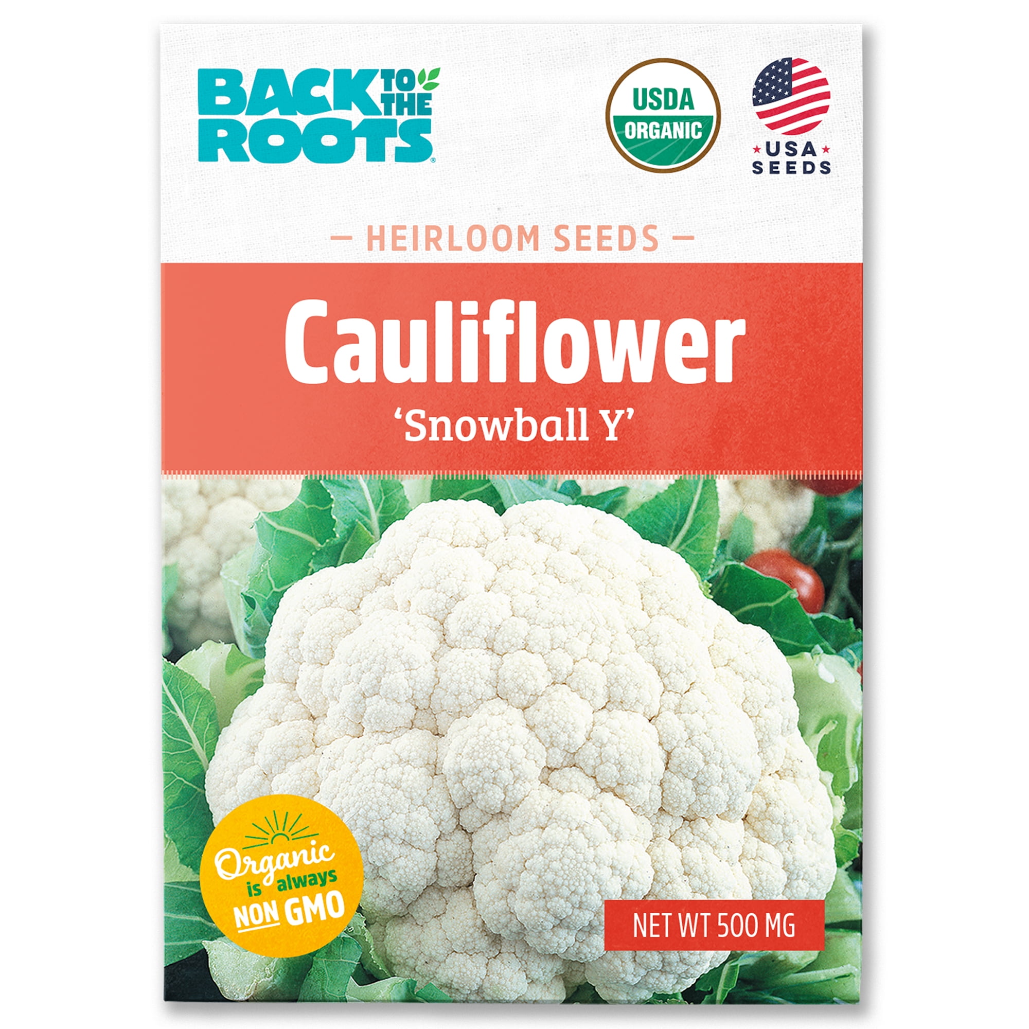 Back to the Roots Organic Snowball Y Cauliflower Seeds, 1 Packet ...