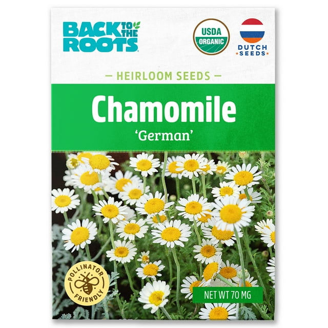 Back to the Roots Organic Chamomile 'German', 1 Seed packet - Walmart.com