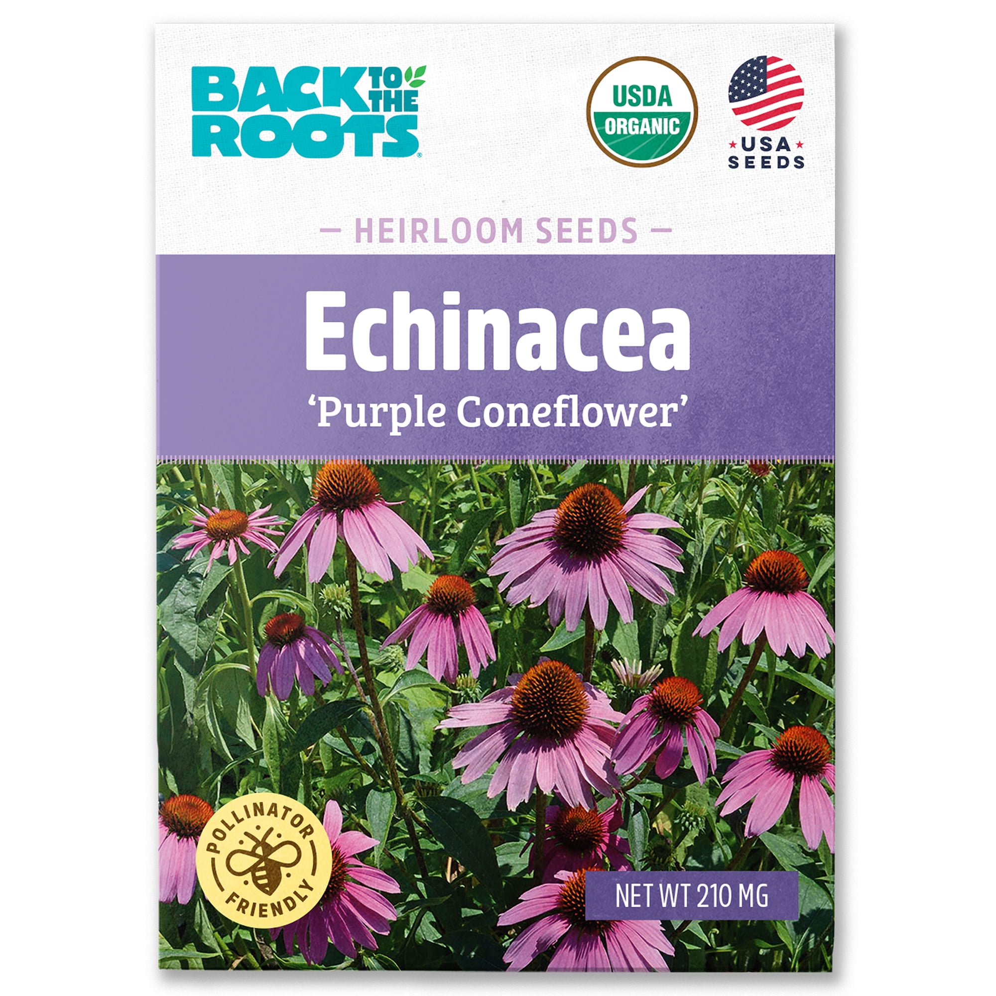 Back to the Roots Organic Echinacea 'Purple Coneflower', 1 Seed packet ...