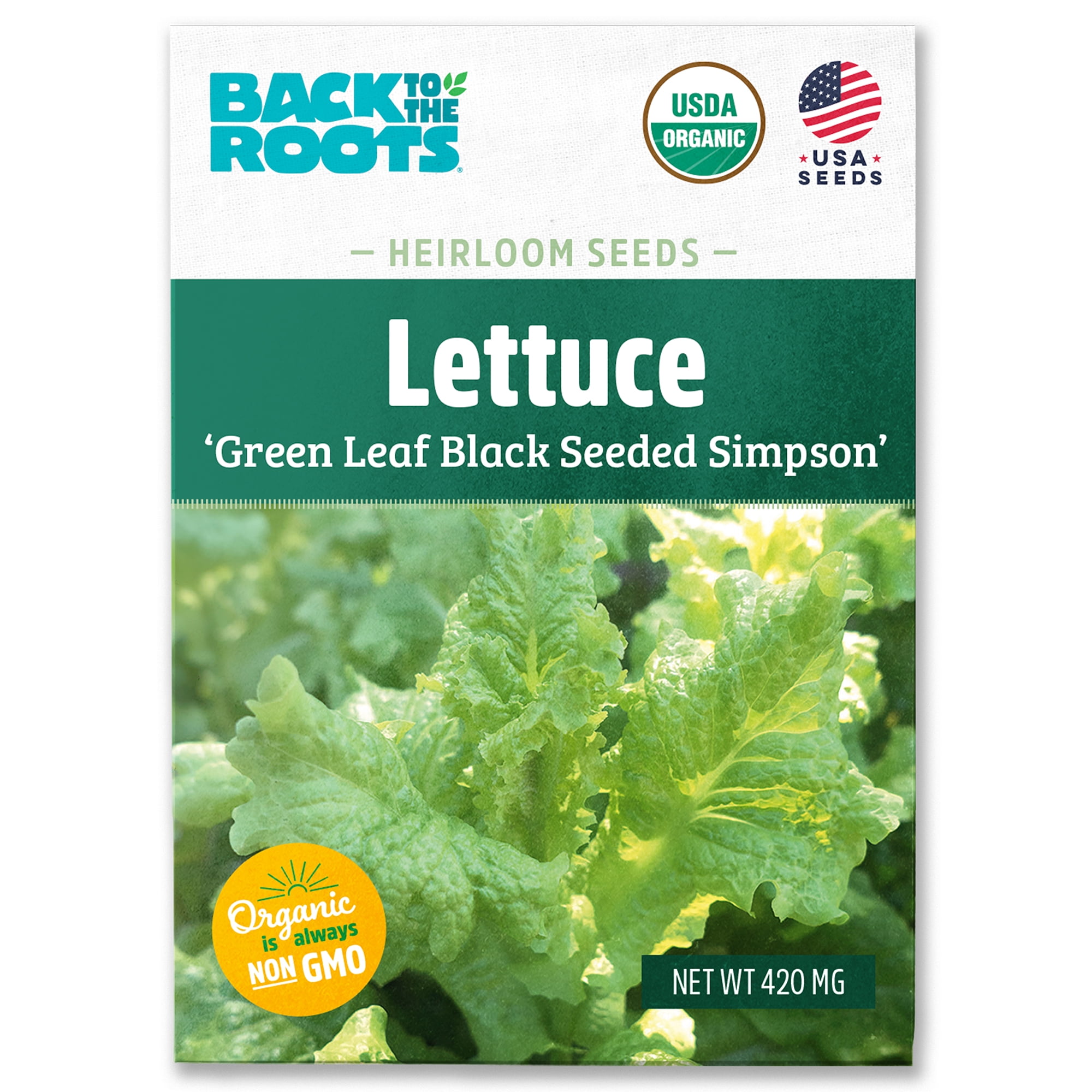 Back to the Roots Organic Green Leaf Lettuce Black Seeded Simpson 1 ...
