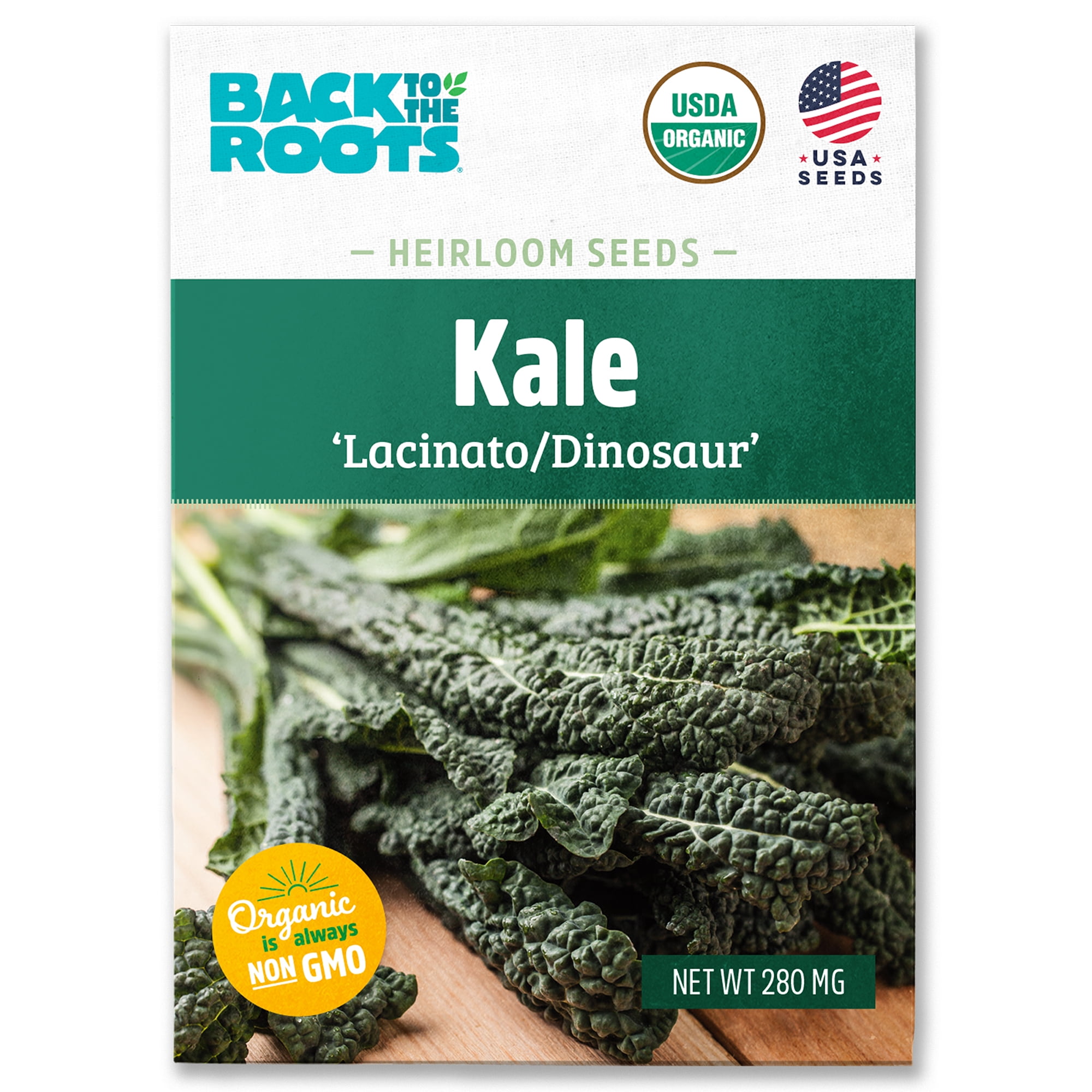 Back to the Roots Organic Kale 'Lacinato', 1 Seed packet - Walmart.com