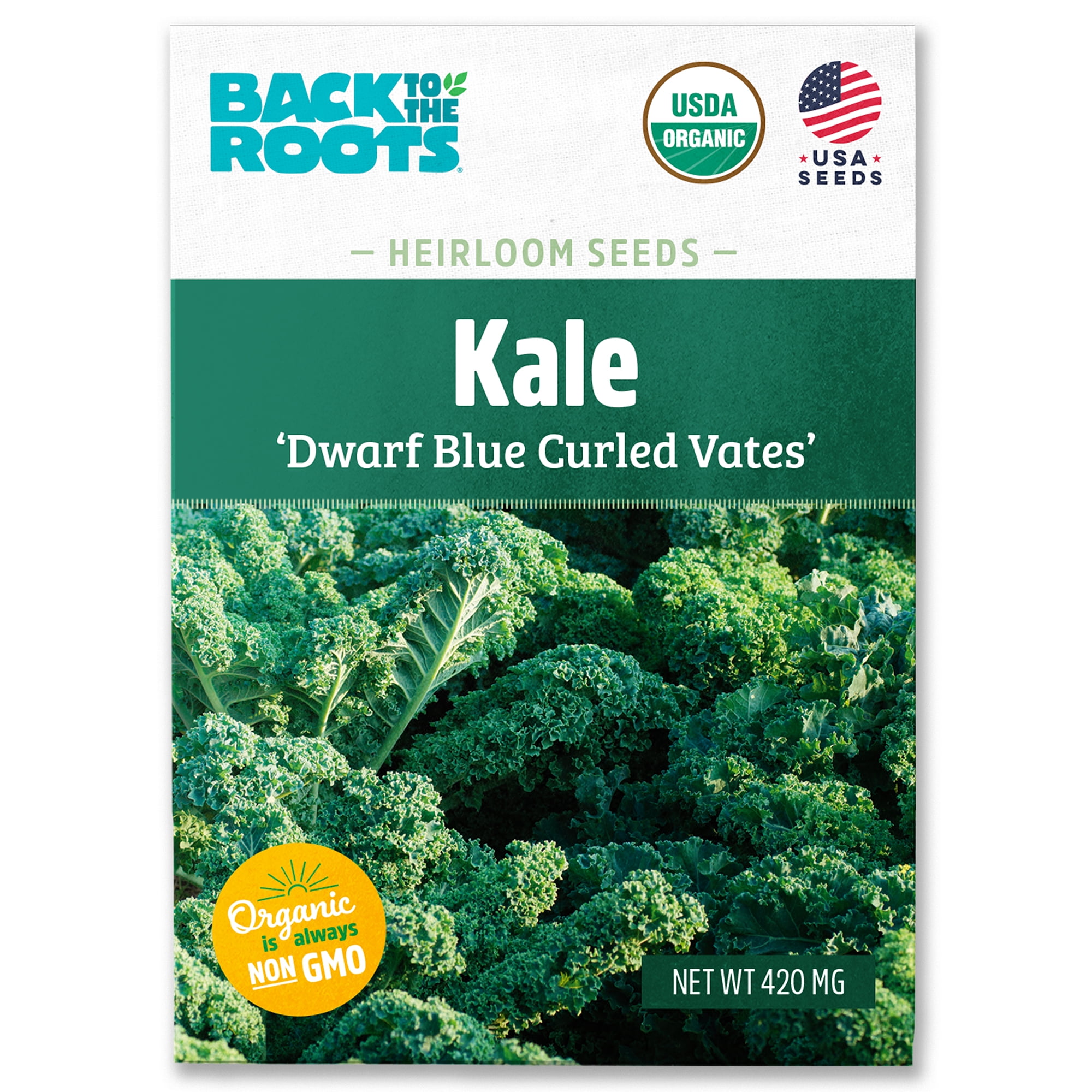 Back to the Roots Organic Kale Vates Seed Packet, Heirloom, Suitable ...