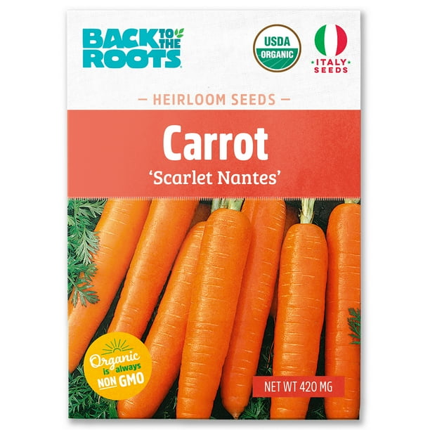Back to the Roots Organic Scarlet Nantes Carrot Vegetable Seeds, 1 Seed ...
