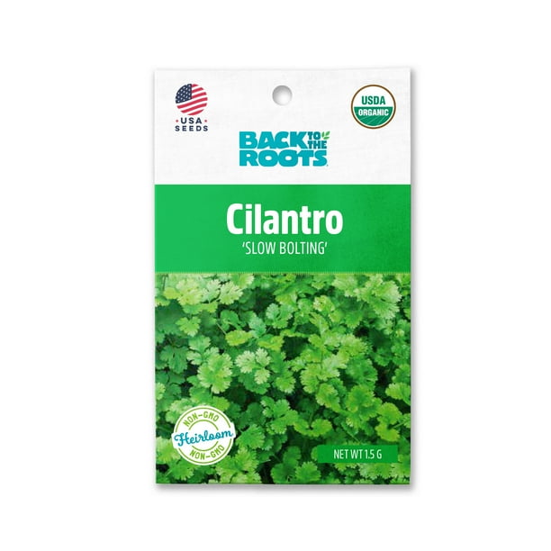 Back to the Roots Organic Slow Bolting Cilantro Seeds, 1 Packet ...