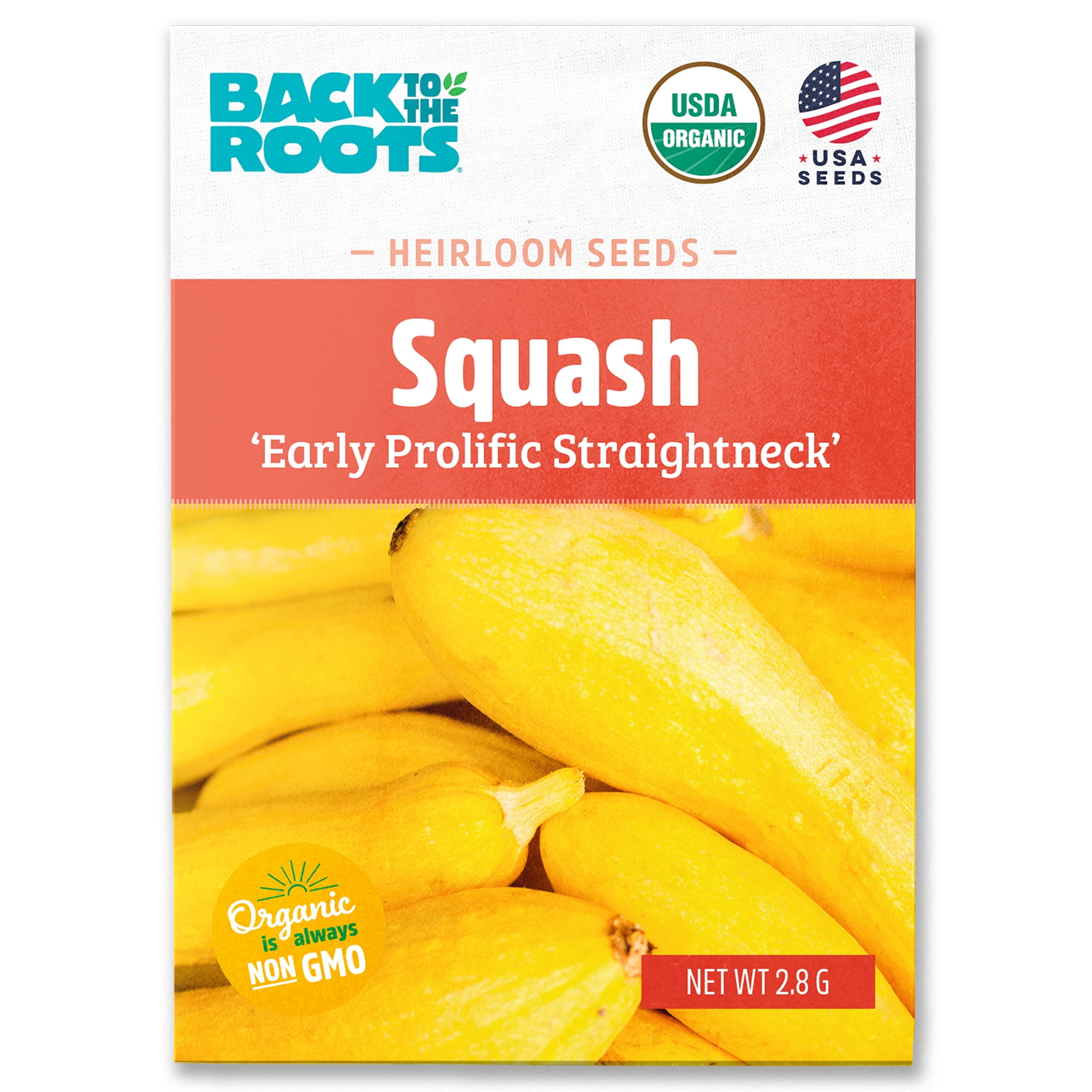 Back to the Roots Organic Squash 'Early Prolific Straightneck', 1 Seed ...