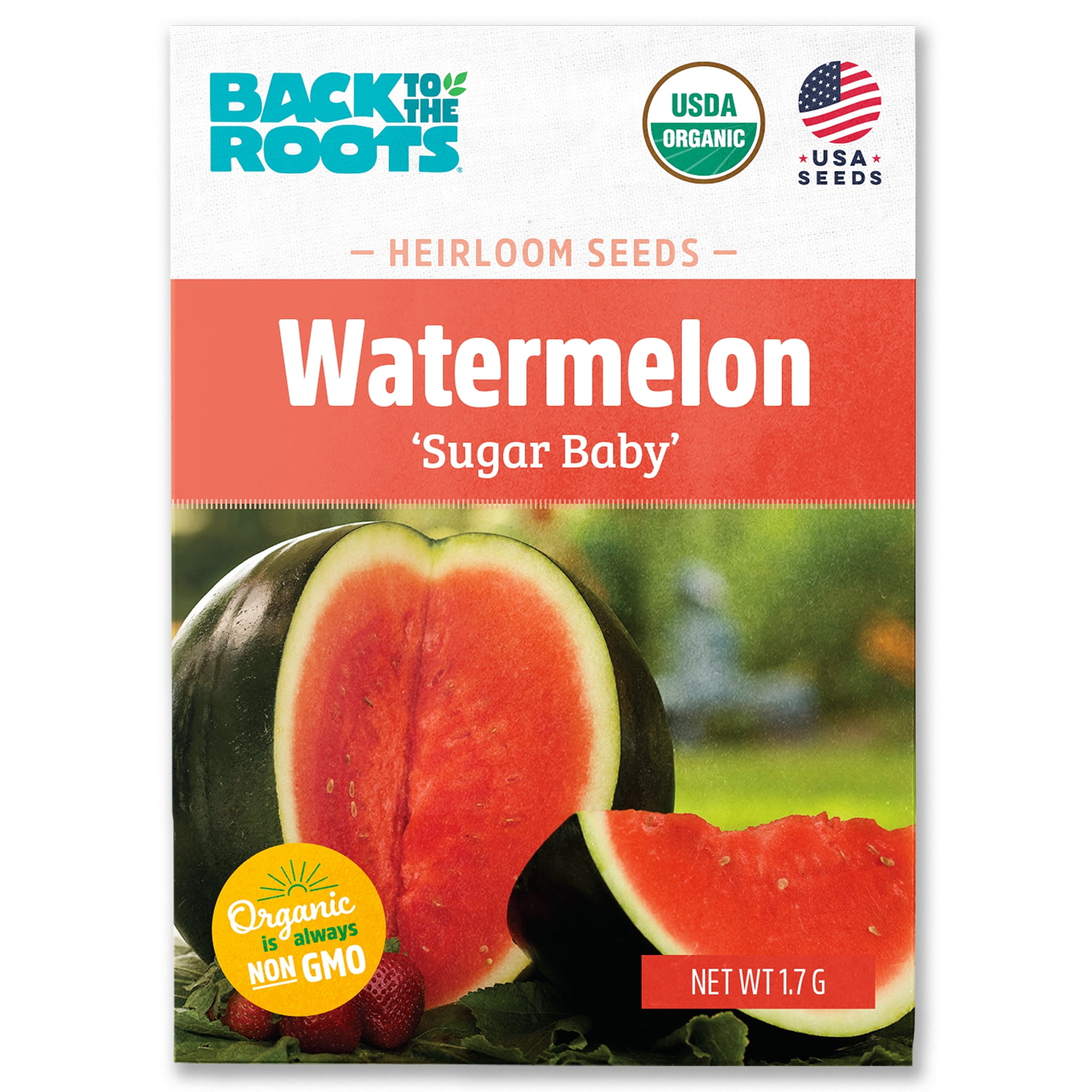Back to the Roots Sugar Baby Watermelon Seeds, 1 Seed Packet for Home ...