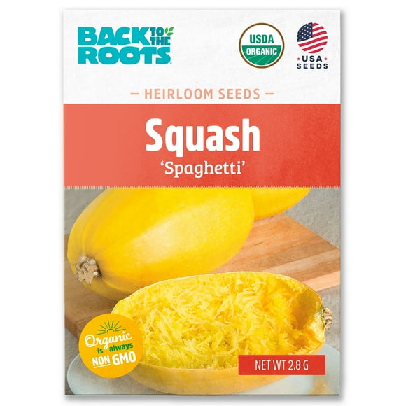Squash Seeds in Seed Gardening - Walmart.com