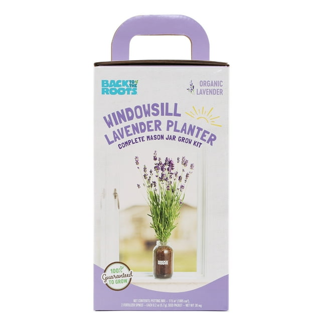 Back to the Roots Windowsill Lavender Planter, Lavender Grow Kit ...