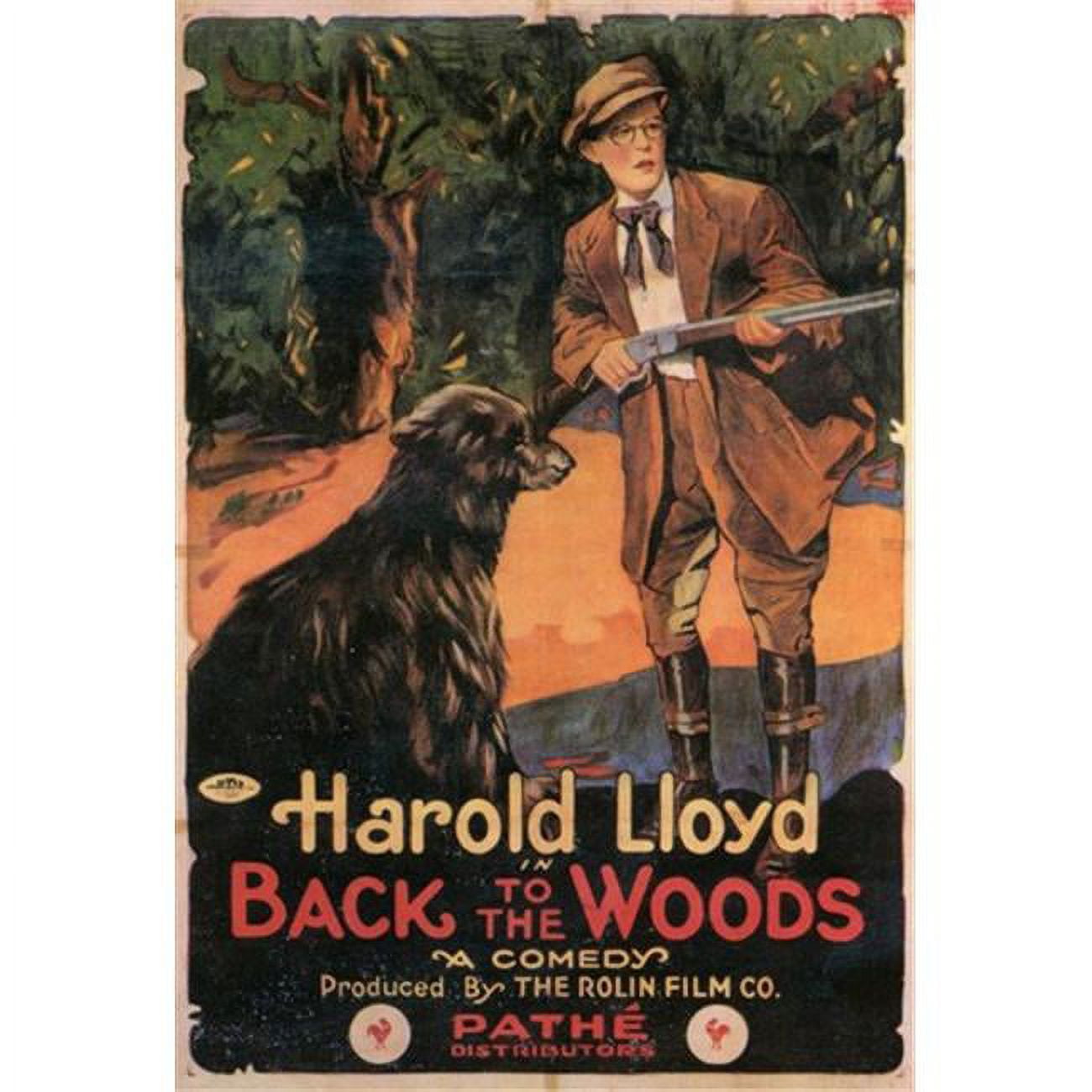 Back to the Woods Movie Poster - 11 x 17 in. - Walmart.com